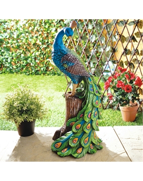 Solar LED Peacock | Scott's of Stow